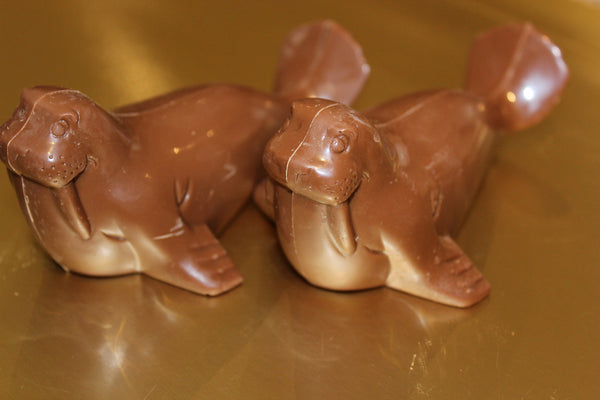 Chocolate Walrus | The Chocolate Messenger