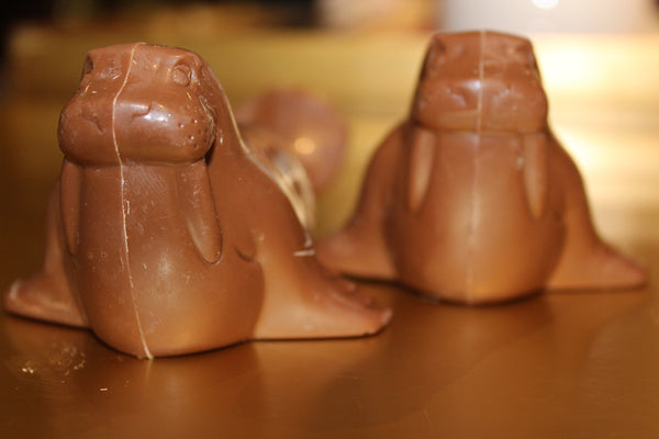 Chocolate Walrus | The Chocolate Messenger